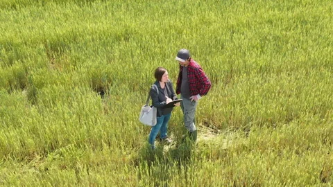 Loan Agriculture Stock Videos – Royalty-Free HD & 4K Videos | Pond5