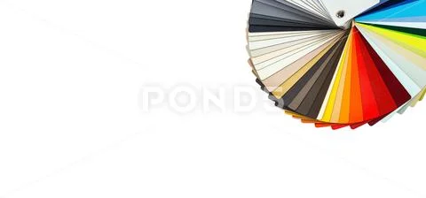 Banner of a color guide displaying a range of hues for use in interior ...