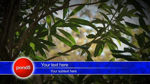 After Effects Template: Bar and Circle Lower Third #33839920