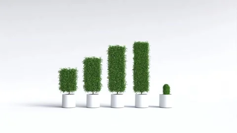 Bar chart made from trees, Tree growth, ... | Stock Video | Pond5