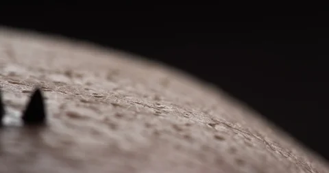 Barbed liquid moving on human skin leavi... | Stock Video | Pond5