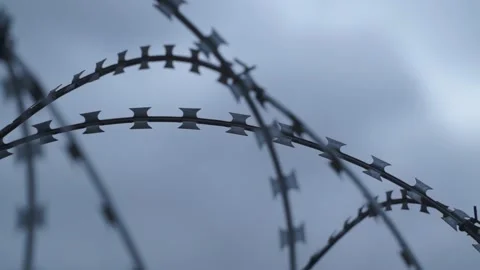 Barbed wire on the background the blue s... | Stock Video | Pond5