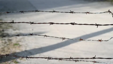 Barbed wire in concentration camp. Close... | Stock Video | Pond5