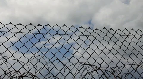 Barbed wire trembling in the wind on th... | Stock Video | Pond5