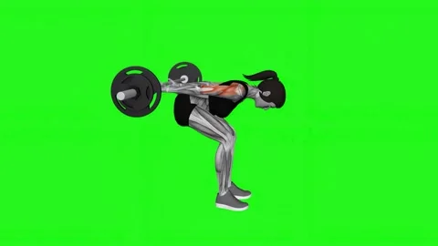 Barbell Bent Over Reverse Raise (skier) ... | Stock Video | Pond5