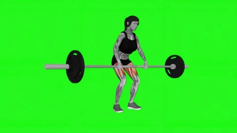 Barbell Clean Pull female fitness gym ex... | Stock Video | Pond5