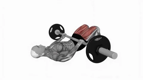 Muscle Tone Stock Videos – Royalty-Free HD & 4K Videos | Page 5