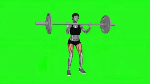 barbell muscle clean female fitness gym ... | Stock Video | Pond5