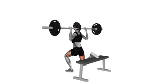 Legs Hig Stock Videos – Royalty-Free HD & 4K Videos