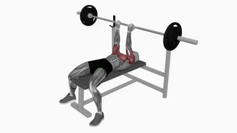 Fitness Animation Stock Video Footage | Royalty Free Fitness Animation ...