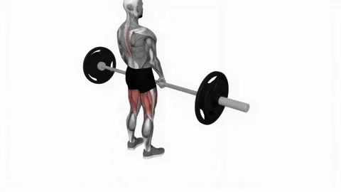 Fitness Animation Stock Video Footage | Royalty Free Fitness Animation ...