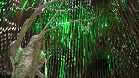 Barcaldine-Tree Of Knowledge Inside Stru... | Stock Video | Pond5