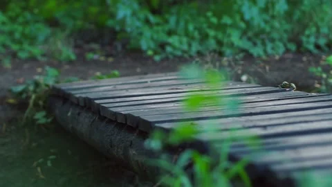 Summer Steph Feet Stock Videos – Royalty-Free HD & 4K Videos | Pond5