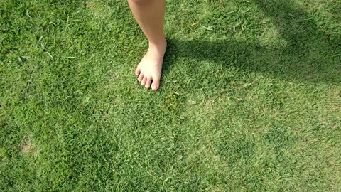Bare Feet On Grass Stock Video Footage | Royalty Free Bare Feet On ...