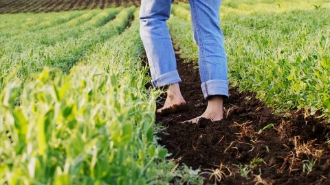 Barefoot farmer goes on the ground among... | Stock Video | Pond5