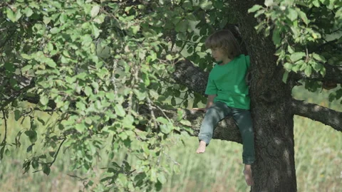 Barefoot kid climbed in a tree, child fe... | Stock Video | Pond5