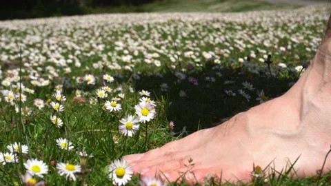 Barefoot Step Flower Stock Videos – Royalty-Free HD & 4K Videos | Pond5
