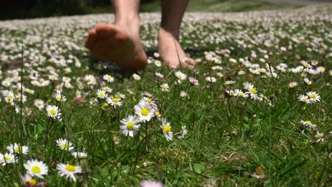 Barefoot Step Flower Stock Videos – Royalty-Free HD & 4K Videos | Pond5