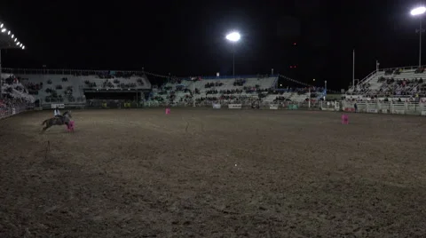 Horse Race Night Stock Videos – Royalty-Free HD & 4K Videos | Pond5