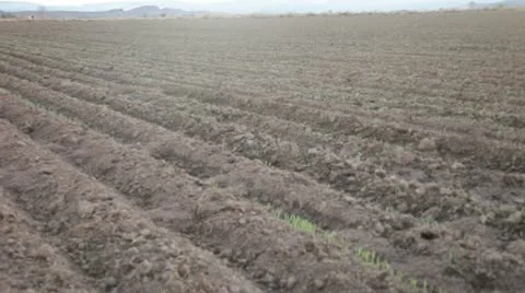 barren field 4 | Stock Video | Pond5