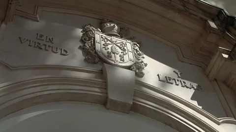 School Bas Stock Videos – Royalty-Free HD & 4K Videos | Pond5