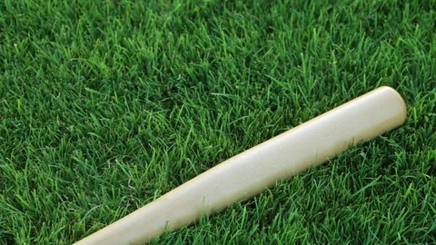 Wood Baseball Bat Stock Videos – Royalty-Free HD & 4K Videos | Pond5