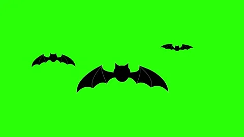 bat animation green screen transition an... | Stock Video | Pond5