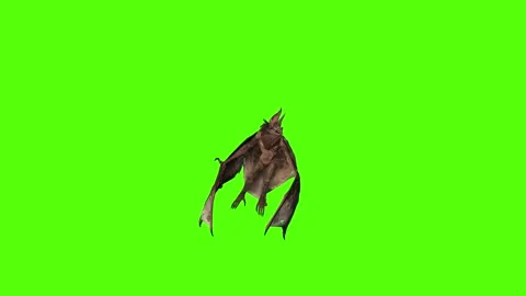 Bat Attack Green Screen Animation 4K Ren... | Stock Video | Pond5
