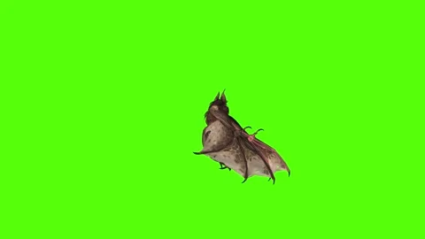 Bat Attack Green Screen Animation 4K Ren... | Stock Video | Pond5