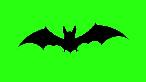 Bat flying animation green screen loop | Stock Video | Pond5