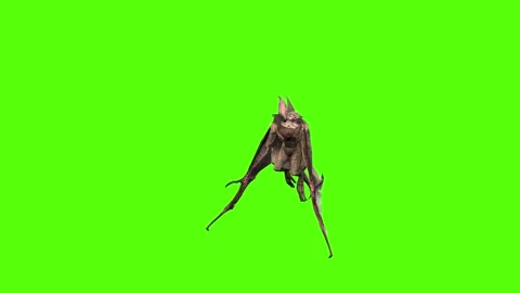 Bat Flying Green Screen Animation and 3D... | Stock Video | Pond5