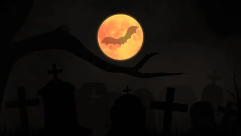 Animated Bat Stock Videos – Royalty-Free HD & 4K Videos