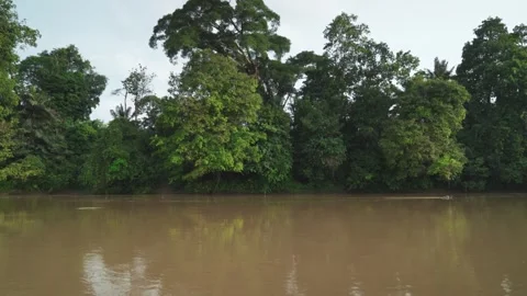 Batang Hari ( Sungai Batanghari ) The Lo... | Stock Video | Pond5