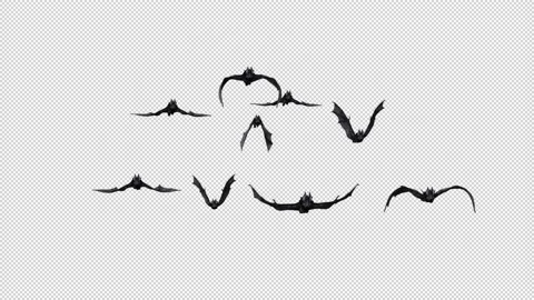 Bats Flying Green Screen Stock Videos – Royalty-Free HD & 4K Videos