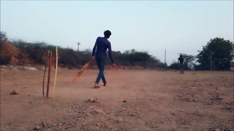 Field Cricket Face Stock Videos – Royalty-Free HD & 4K Videos