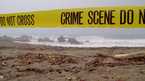 Beach 60 Fps Stock Videos – Royalty-Free HD & 4K Videos