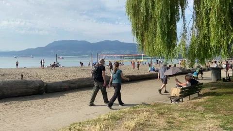 Volleyball Background Stock Footage ~ Royalty Free Stock Videos | Pond5