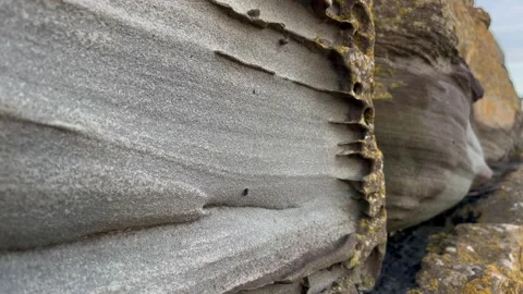 Beach rock strata sedimentary formation.... | Stock Video | Pond5