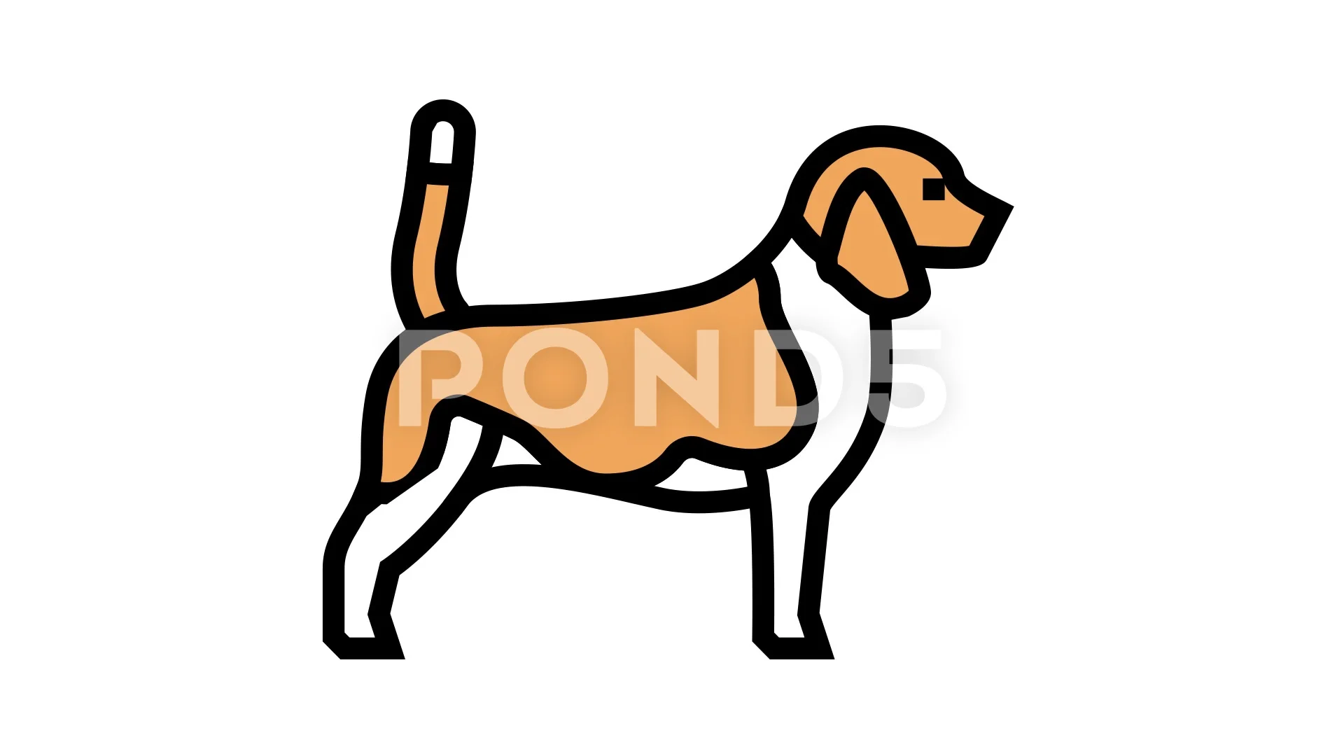 Standing Beagle Puppy Profile