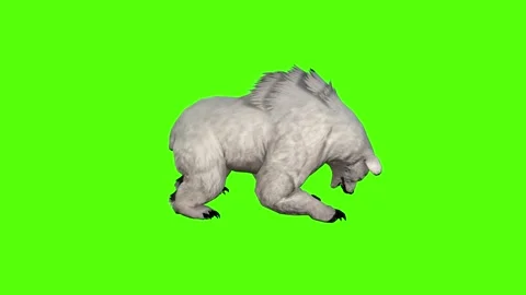 Bear Bite Attack Green Screen Animation ... | Stock Video | Pond5