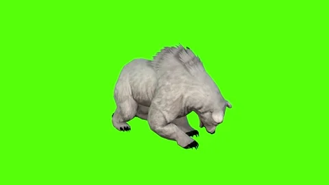 Bear Bite Attack Green Screen Animation ... | Stock Video | Pond5