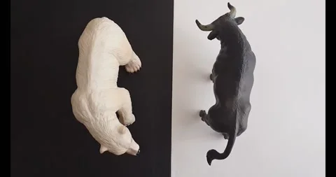 Market Mockup Stock Videos – Royalty-Free HD & 4K Videos | Pond5