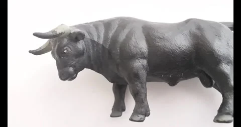 Market Mockup Stock Videos – Royalty-Free HD & 4K Videos | Pond5