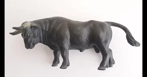 Market Mockup Stock Videos – Royalty-Free HD & 4K Videos | Pond5