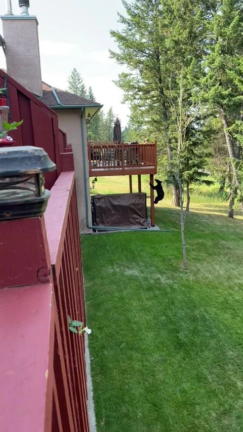 Whatis Source Stock Videos – Royalty-Free HD & 4K Videos