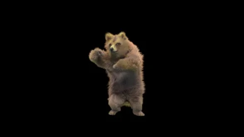 Bear Dancing, With Alpha Matte. | Stock Video | Pond5