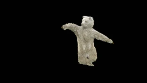 Bear Dancing, With Alpha Matte. | Stock Video | Pond5