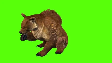 Bear Idle Green Screen Animation and 3D ... | Stock Video | Pond5
