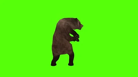 Bear Punch left Green Sccreen Animation ... | Stock Video | Pond5