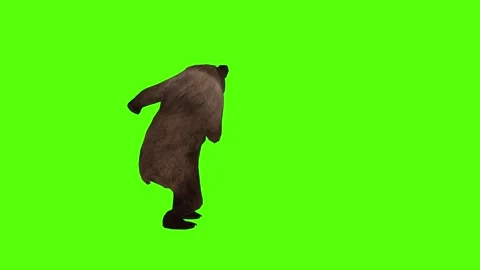 Bear Punch Right Green Sccreen Animation... | Stock Video | Pond5